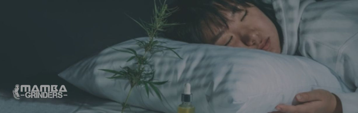 Herbs and Sleep: Tips for a Good Night's Rest – Mamba Grinders™